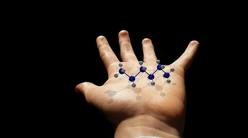 Científicos descubren una nueva clase de biomoléculas que podría dar ... Científicos descubren una nueva clase de biomoléculas que podría dar ...